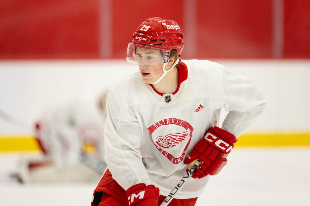 Red Wings Seek Consistency From Danielson | DHN