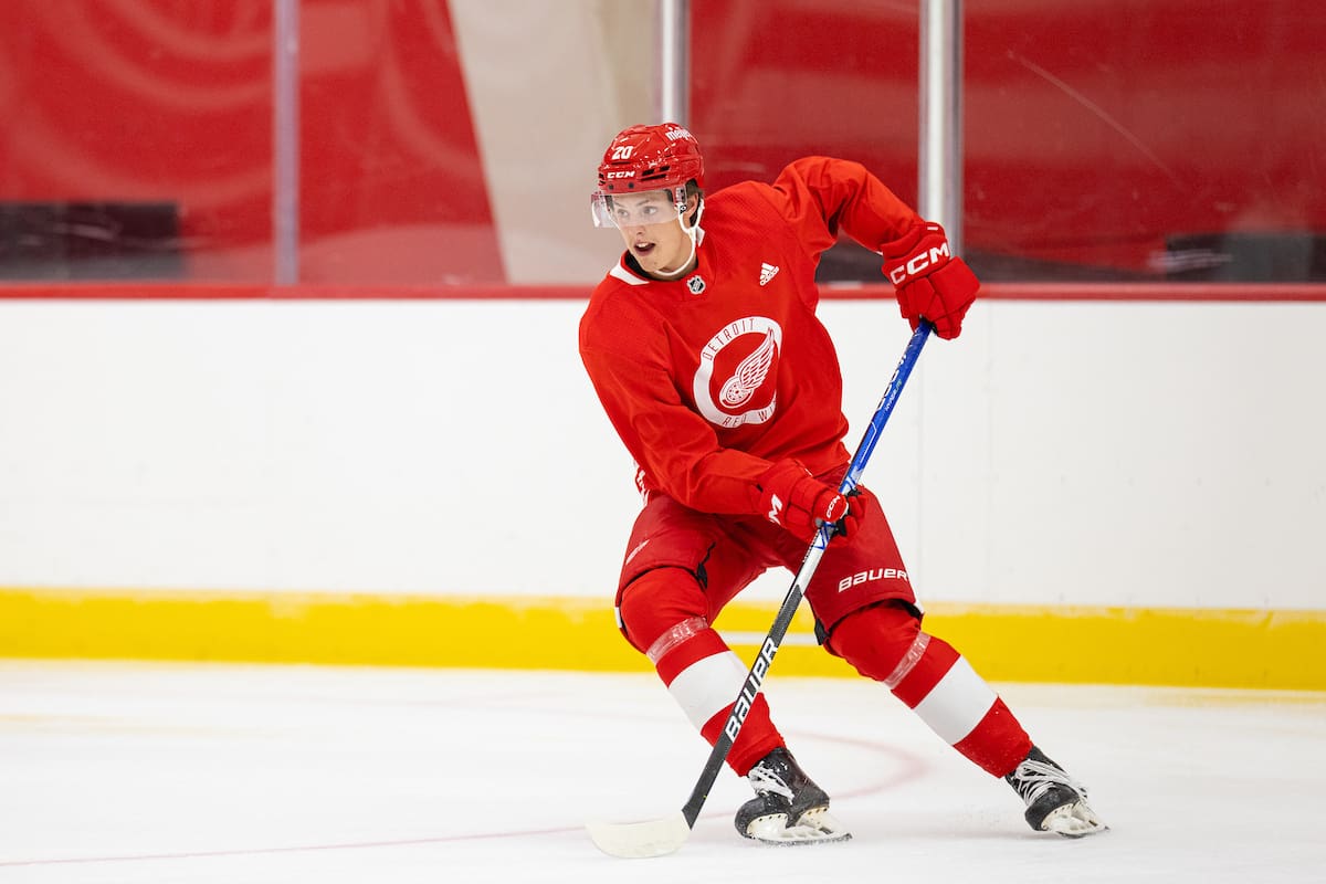 Red Wings Prospects Battle in SHL Opening | Detroit Hockey Now