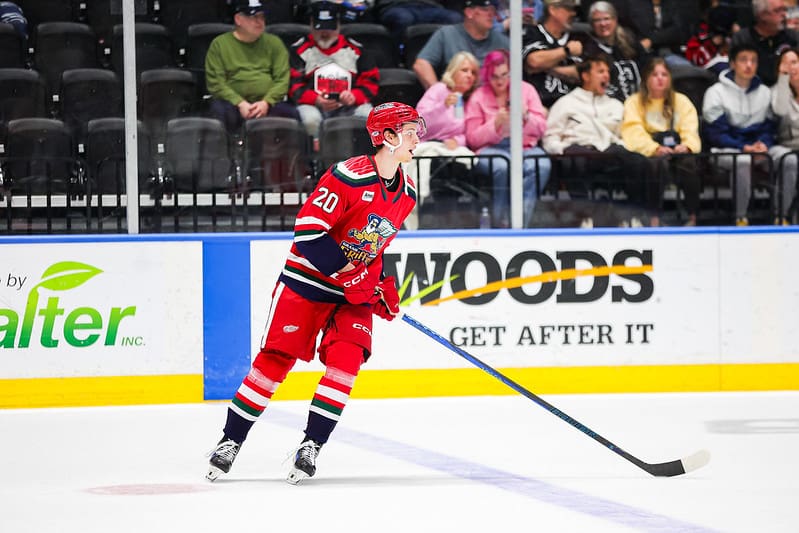 Leksands GM Believes Red Wings Prospect Will Be NHLer | DHN